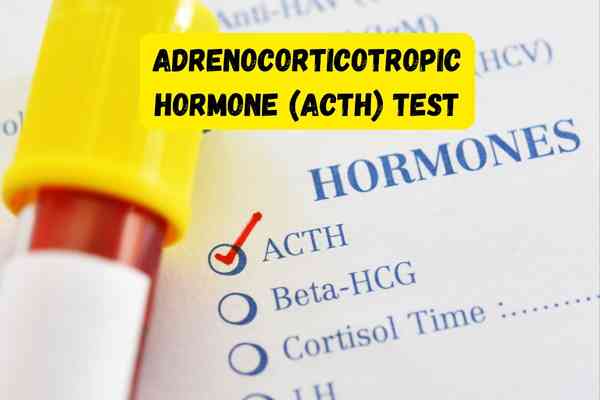 Marvel Path Lab - Best Pathology Lab In India