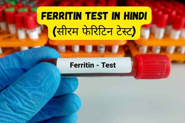 Marvel Path Lab - Best Pathology Lab In India