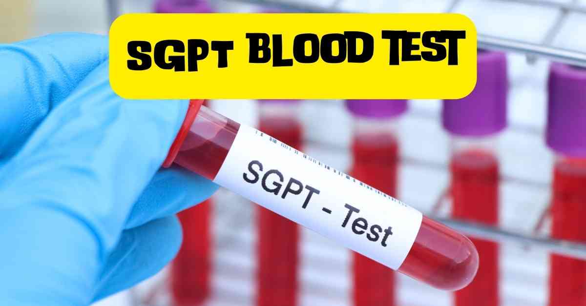 Marvel Path Lab - Best Pathology Lab In India