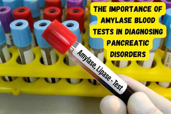 Marvel Path Lab - Best Pathology Lab In India