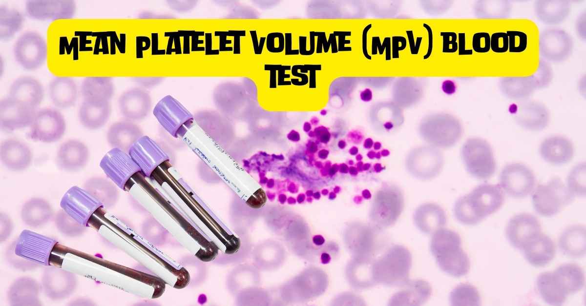 Marvel Path Lab - Best Pathology Lab In India