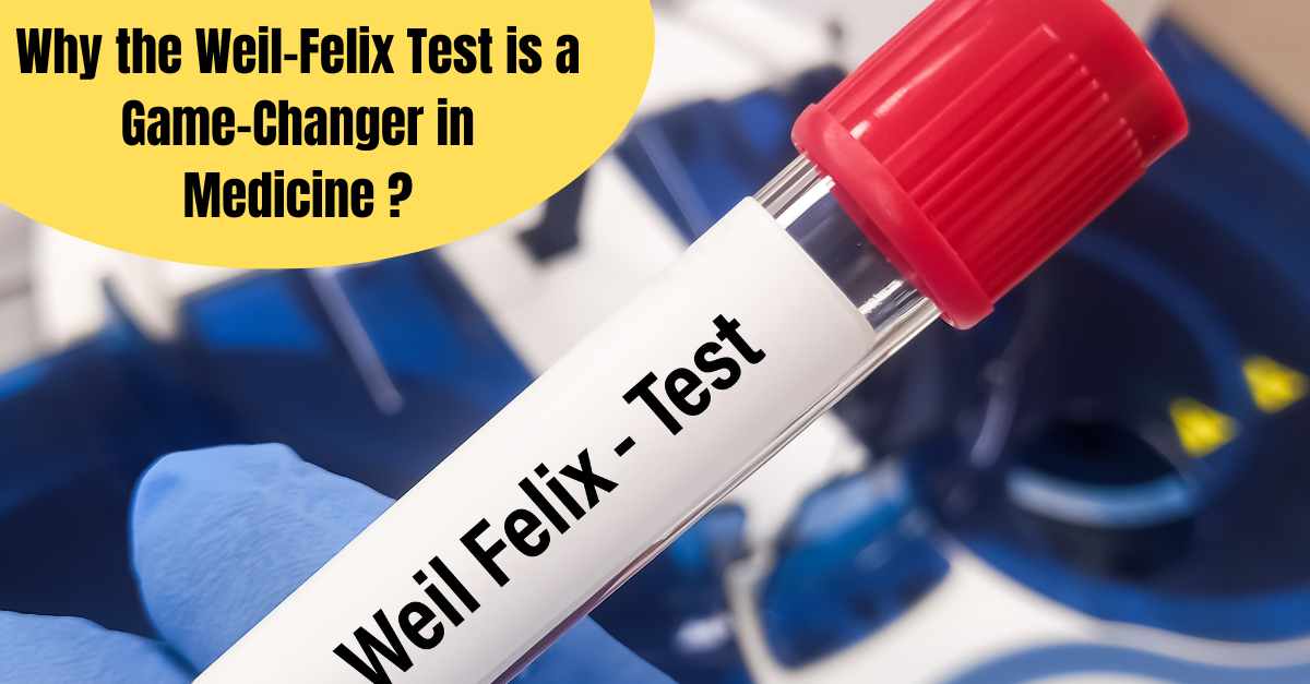 Marvel Path Lab - Best Pathology Lab In India