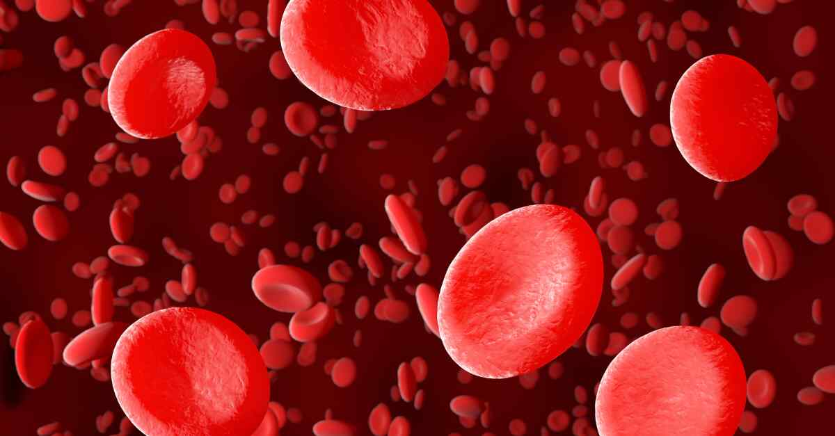 Marvel Path Lab - Best Pathology Lab In India